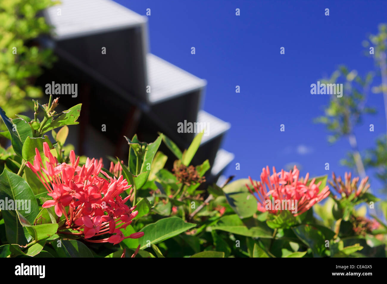 The iconic Cairns Convention Centre is host to international ...