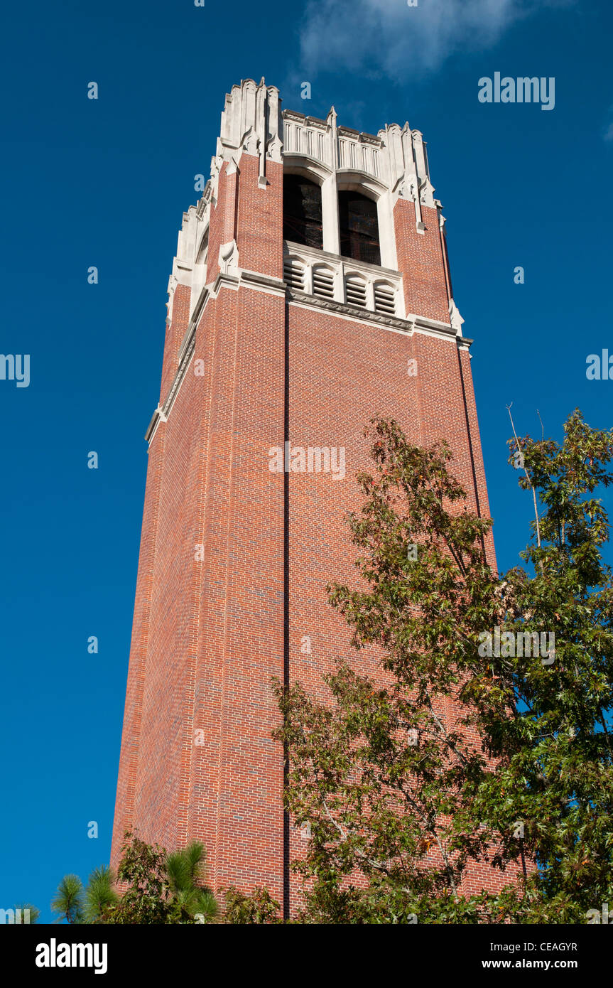 University of florida campus hi-res stock photography and images - Alamy