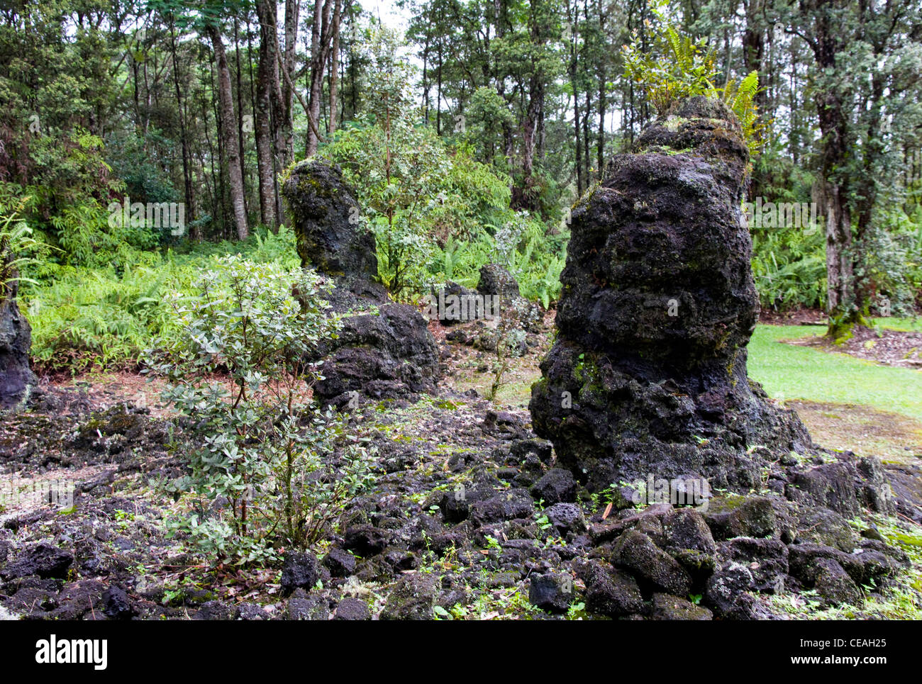 Formed from 1790 lava flow hi-res stock photography and images - Alamy
