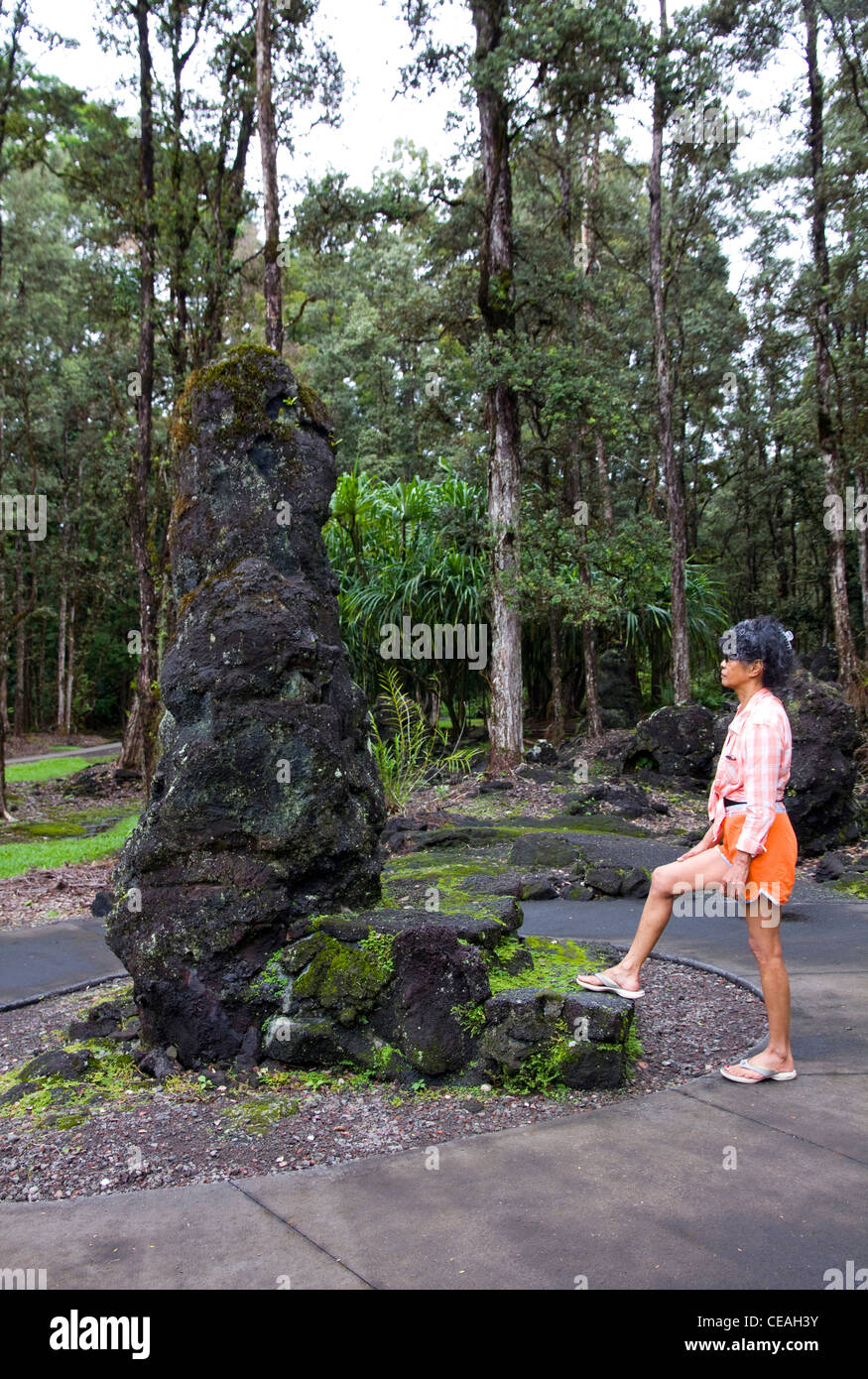 Lava Tree State Park preserves the ghostly, moss-covered lava molds of ...