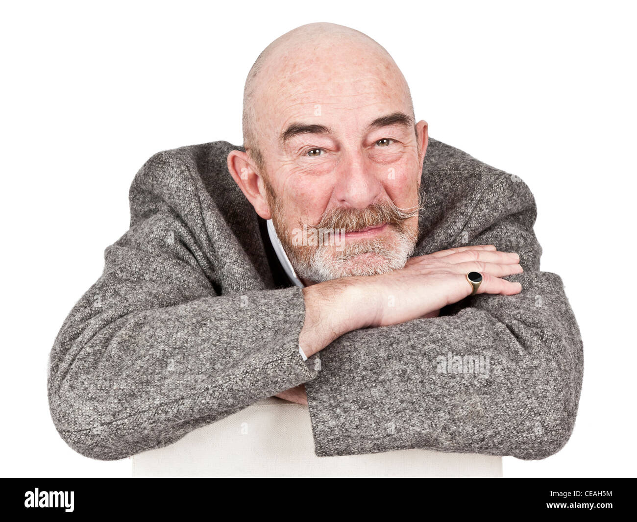 Senior man gray hair beard hi-res stock photography and images - Alamy