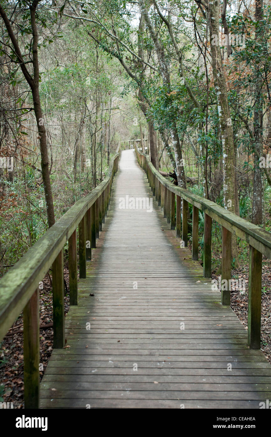 Ichetucknee Springs State Park, Florida, United States Stock Photo - Alamy