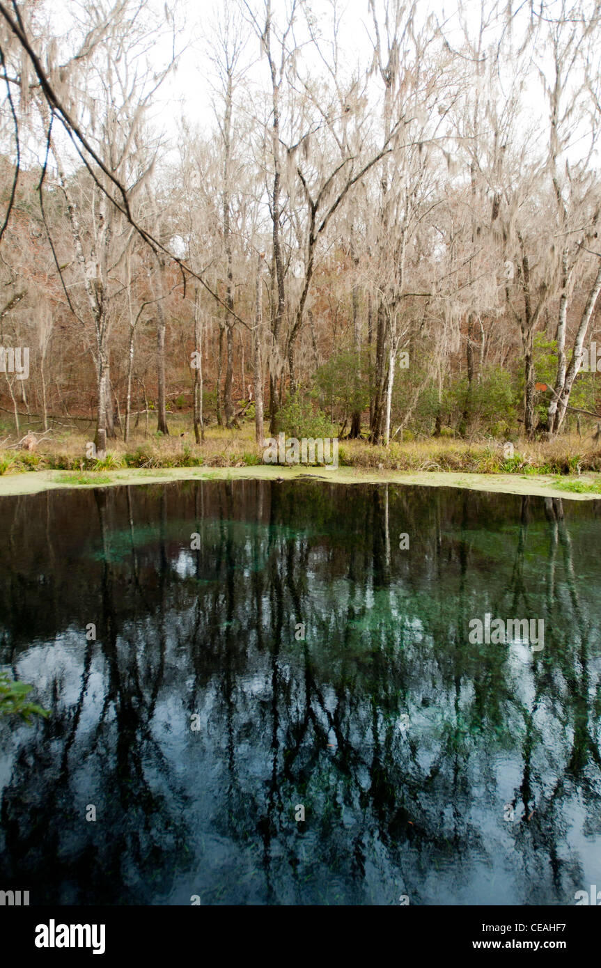 Blue Springs State Park High Resolution Stock Photography and Images ...