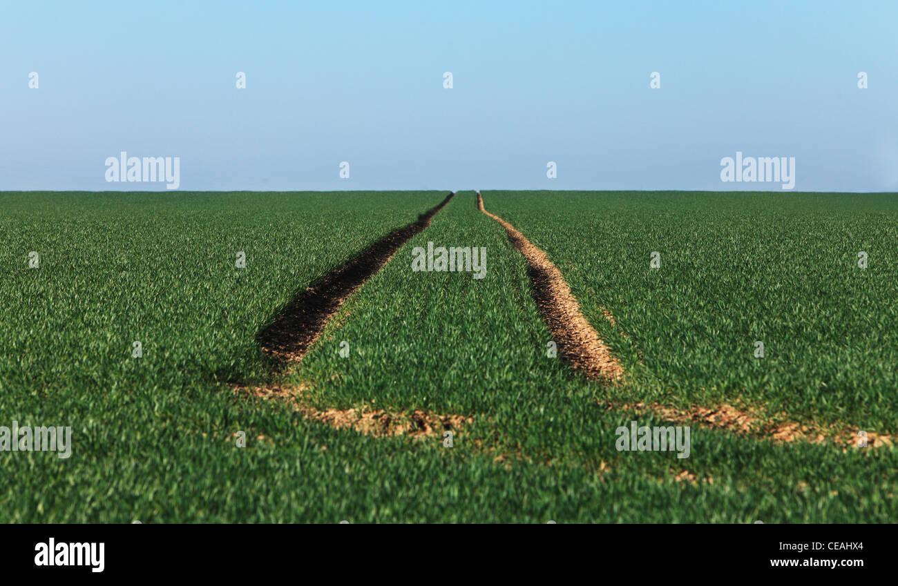 Green field tractor tracks hi-res stock photography and images - Alamy