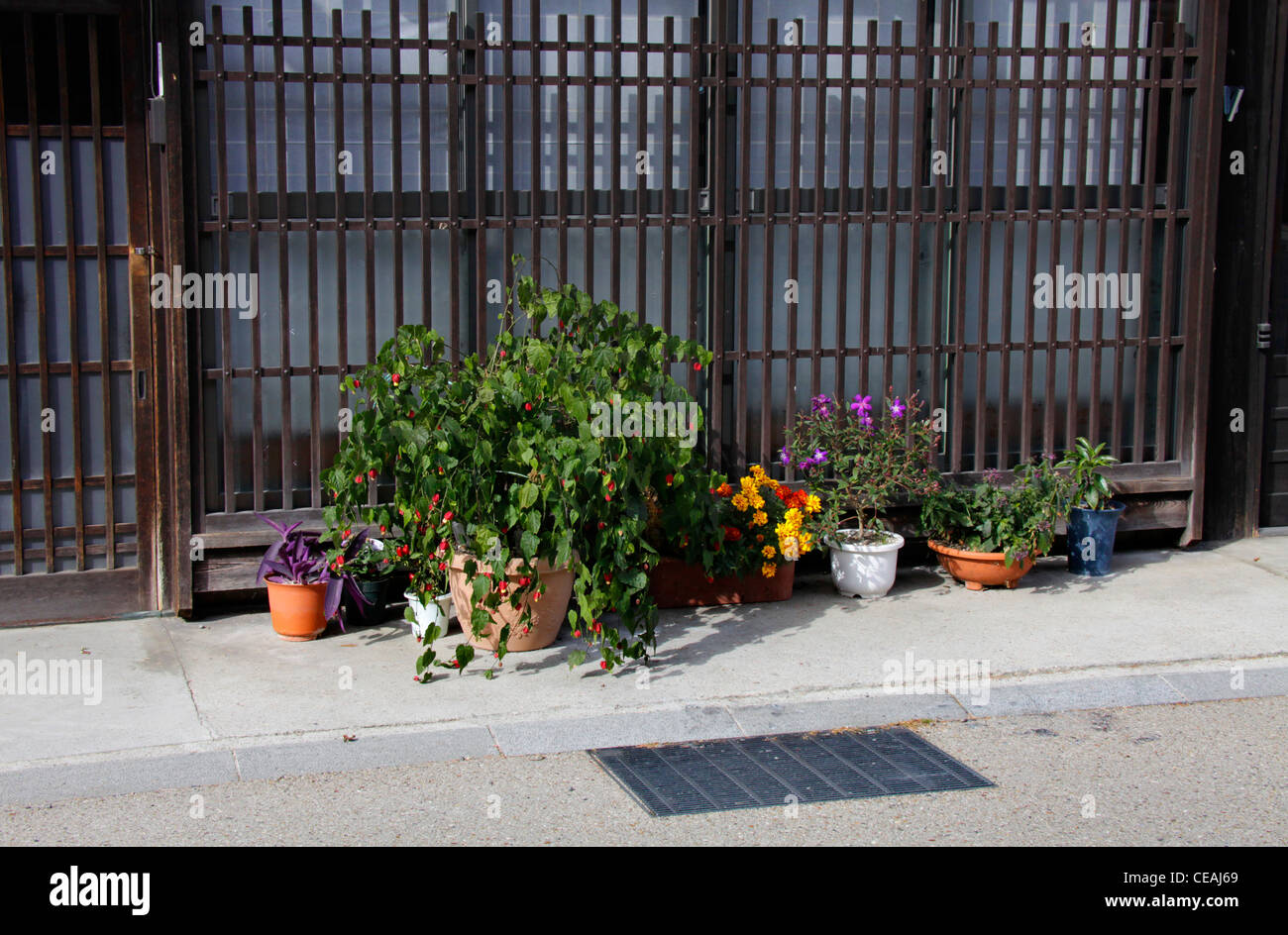 Plants displayed in front of lattice windows at Narai-juku Nagano Japan ...