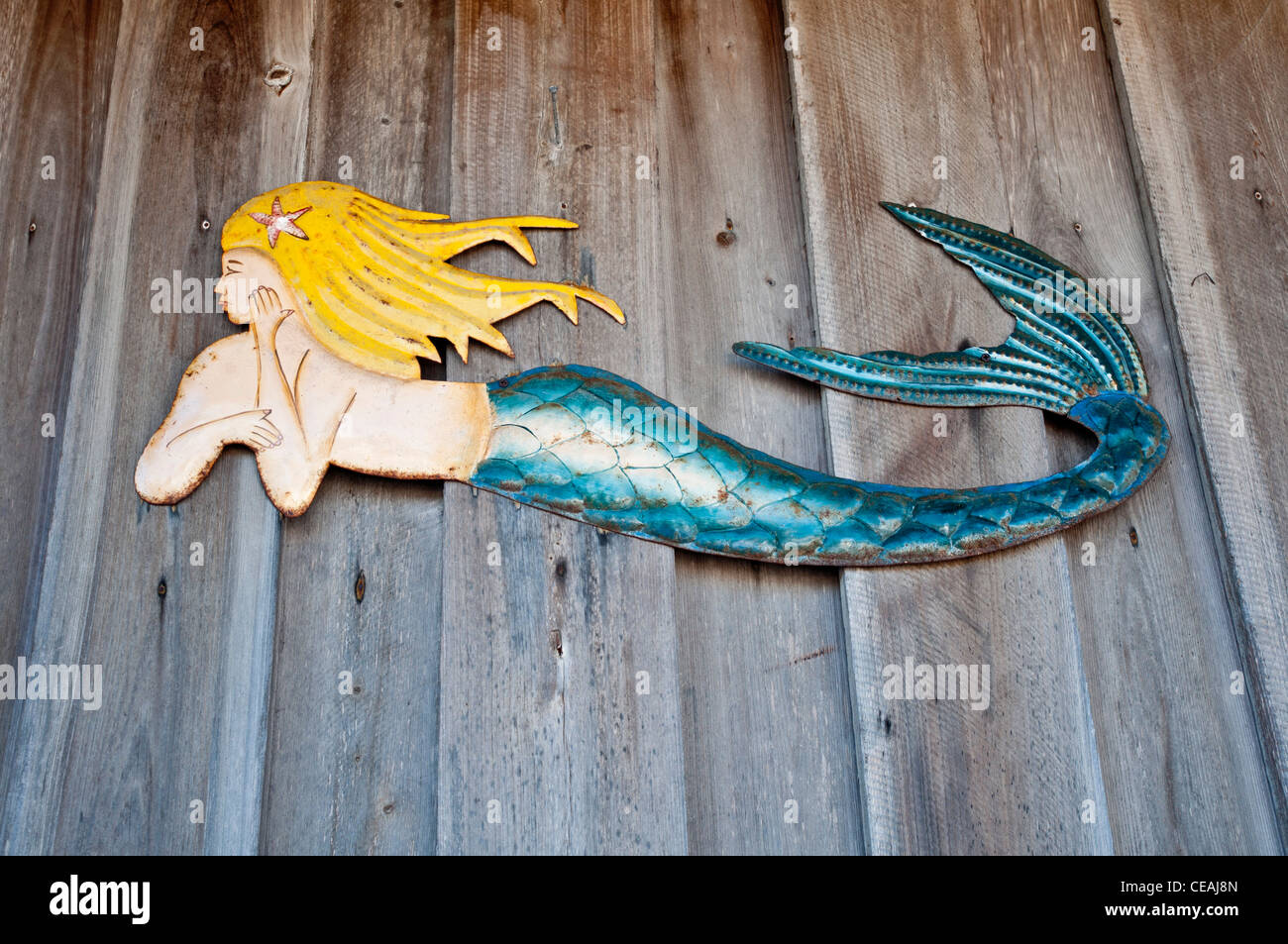 Cedar key florida hi-res stock photography and images - Alamy