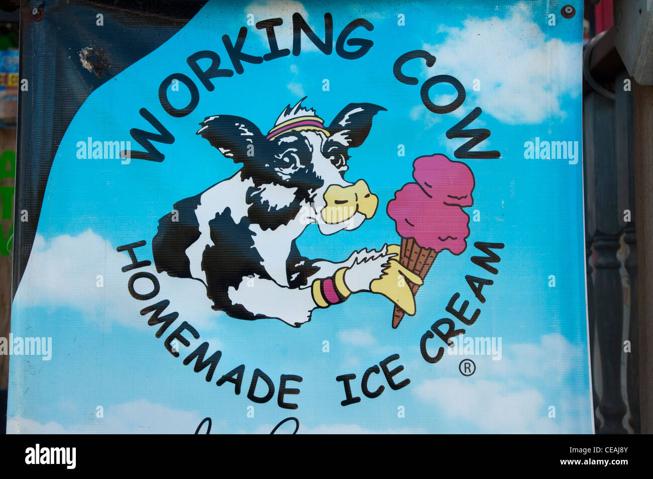 Working cow homemade ice cream sign hi-res stock photography and images ...