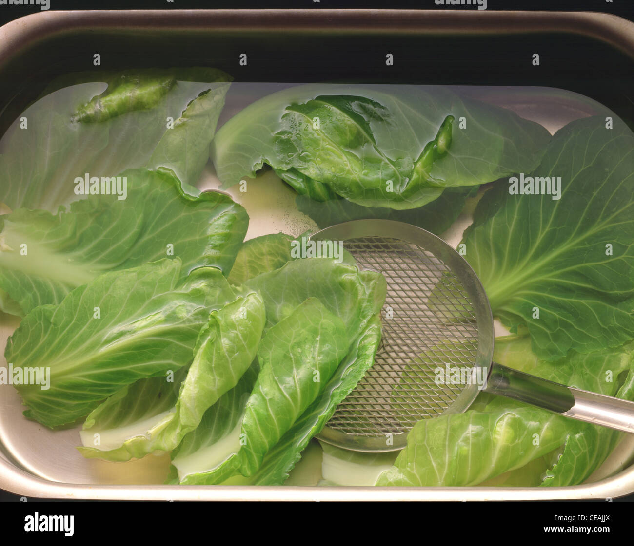 Blanching cabbage hi-res stock photography and images - Alamy