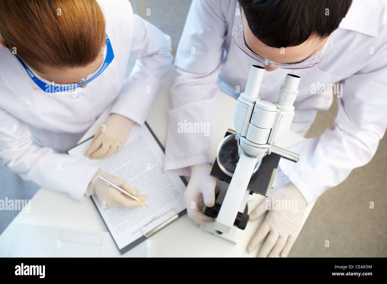 Overview of two scientists working together Stock Photo - Alamy
