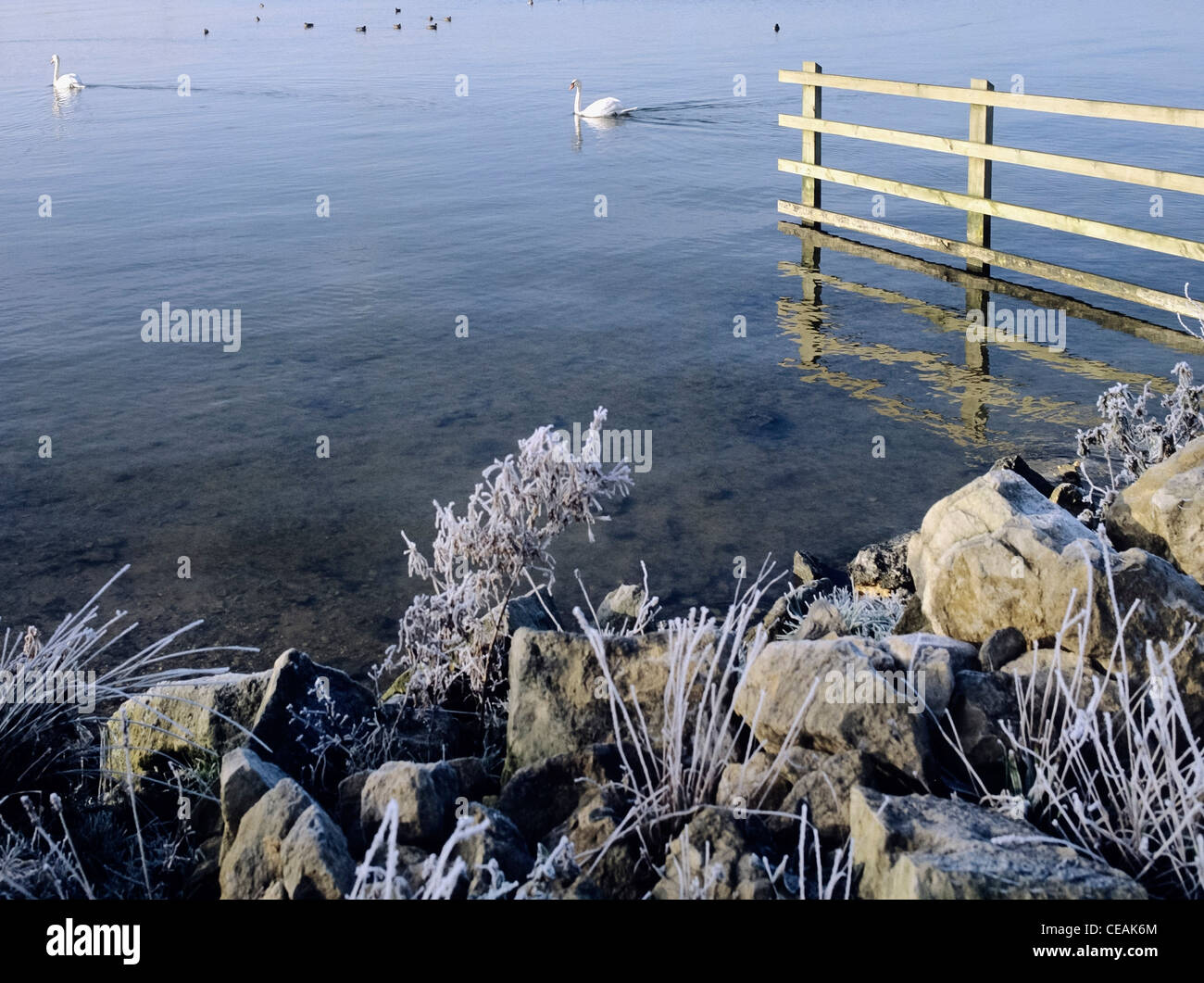 Grafham water reservoir hi-res stock photography and images - Alamy