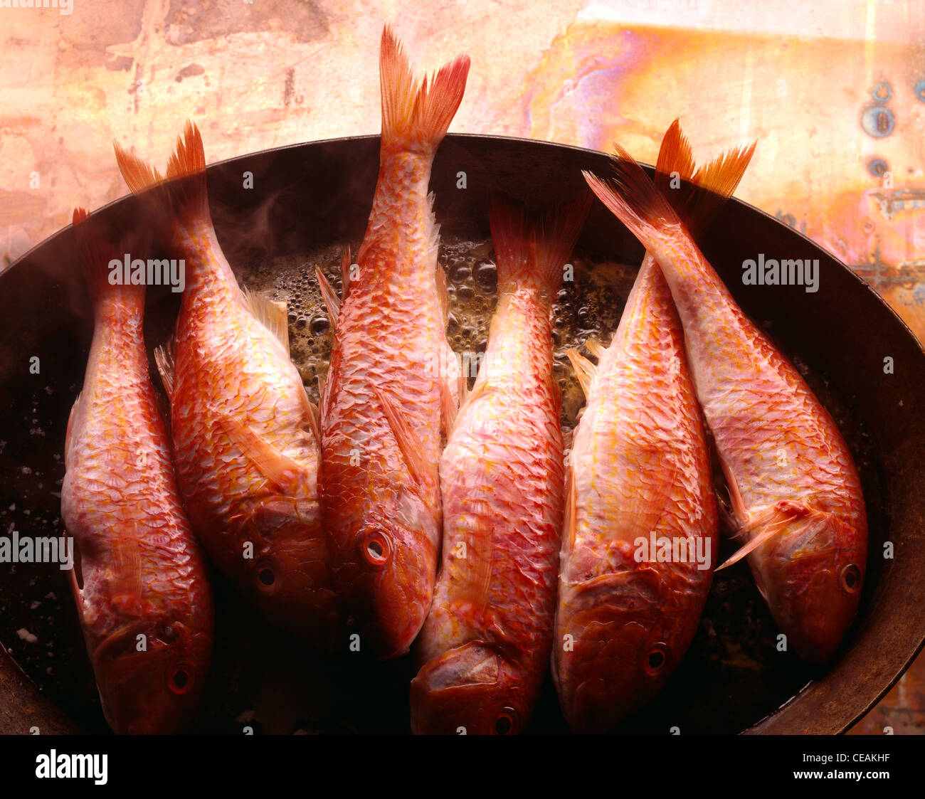 Still: Red barbel in hot oiled pan Stock Photo - Alamy
