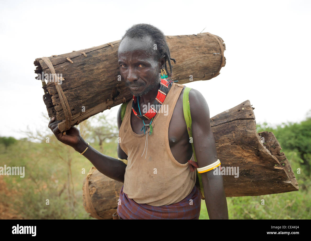 Hamer Man Collecting Honey With Emptied Tree Trunks Ethiopia Stock ...