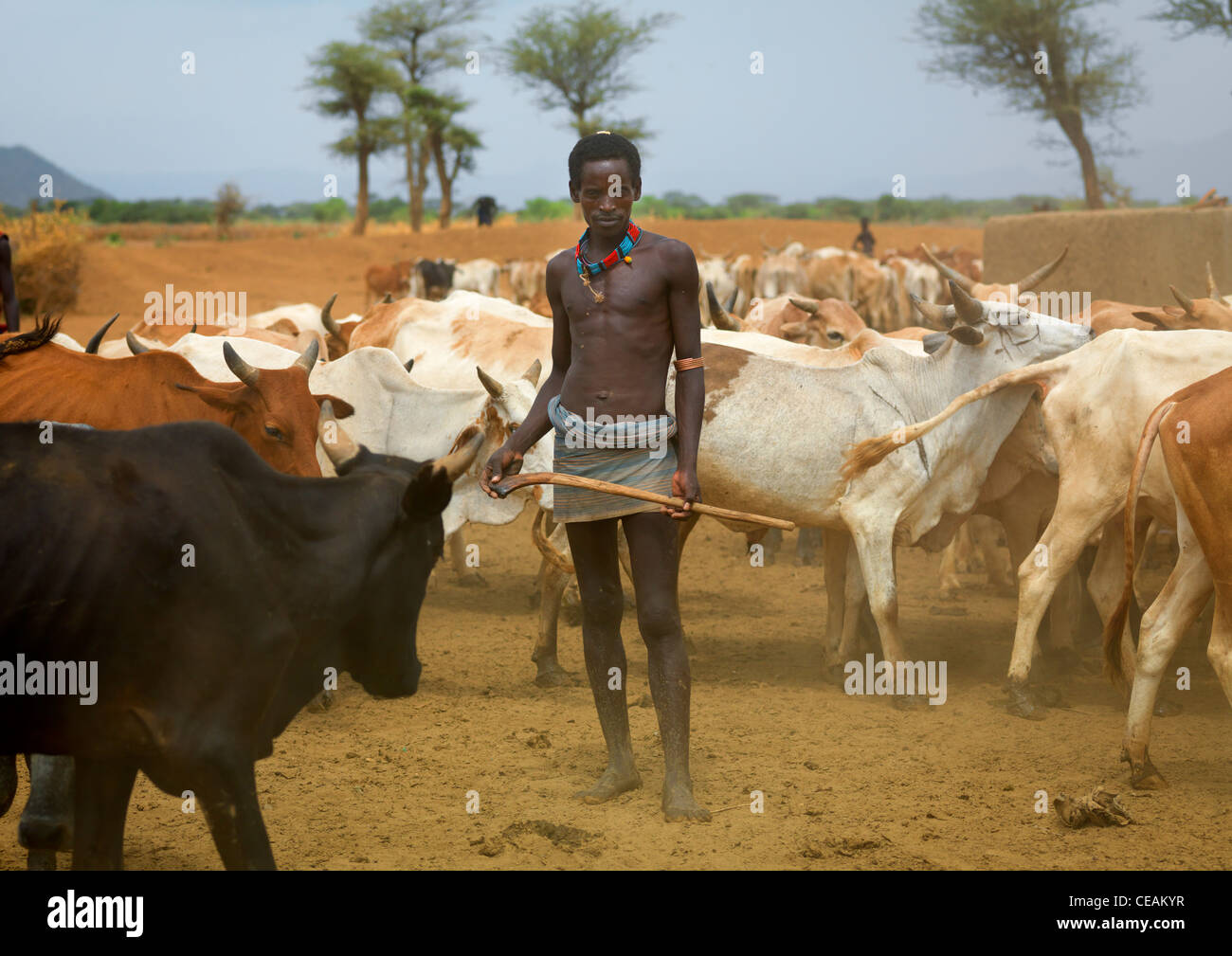 Tsemai people hi-res stock photography and images - Alamy