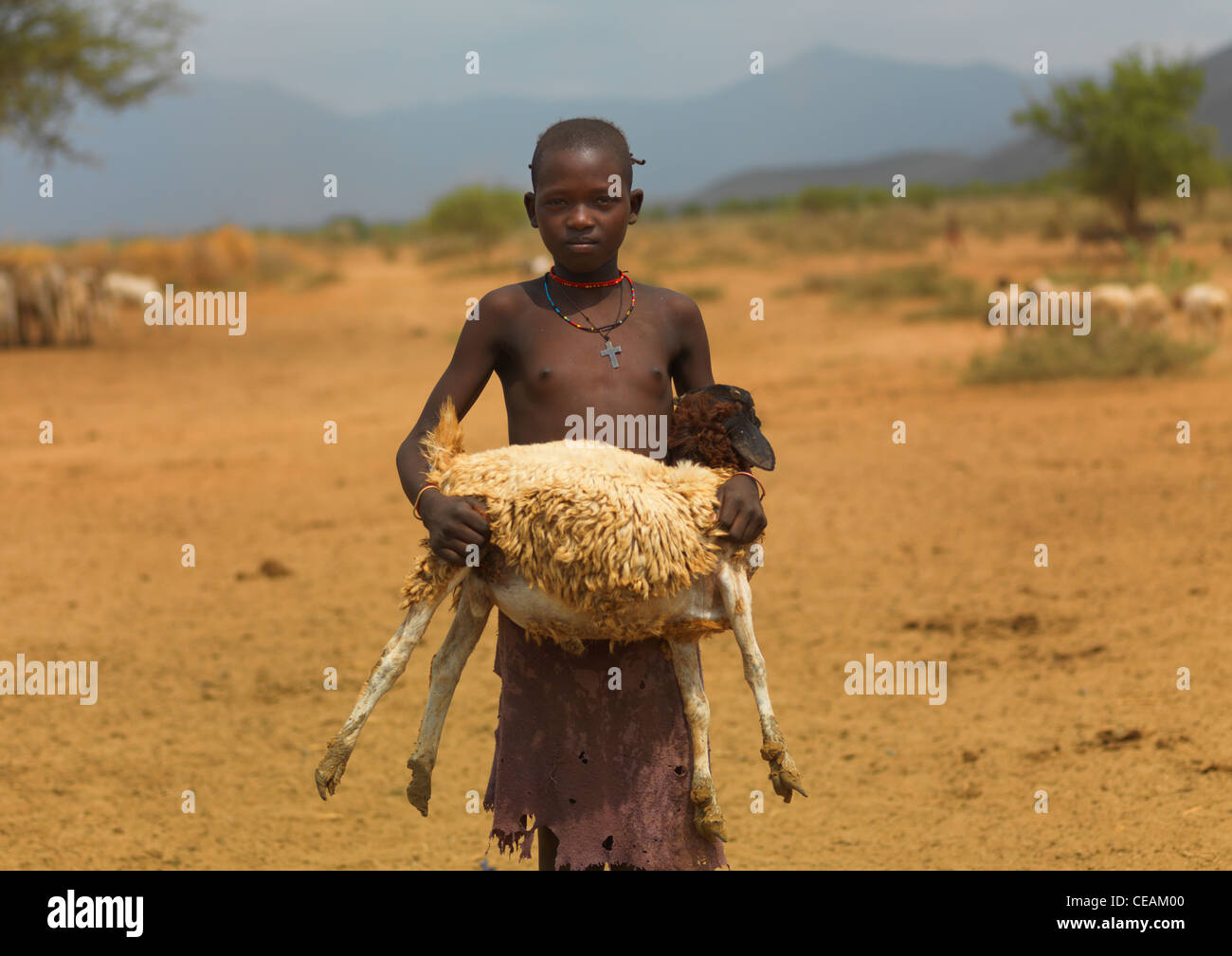 Ethiopian sheep hi-res stock photography and images - Alamy