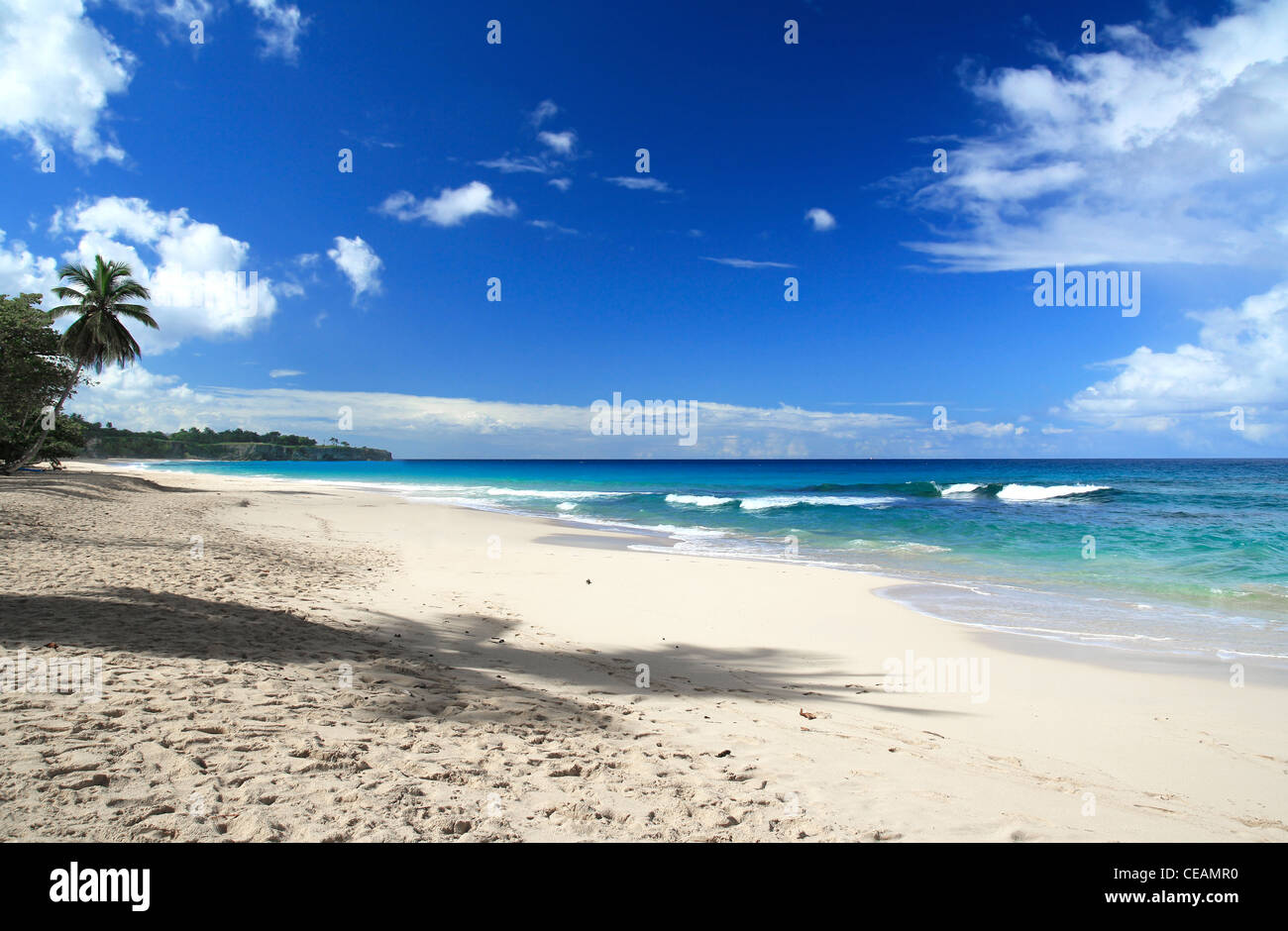 Caribbean sea beach Stock Photo - Alamy