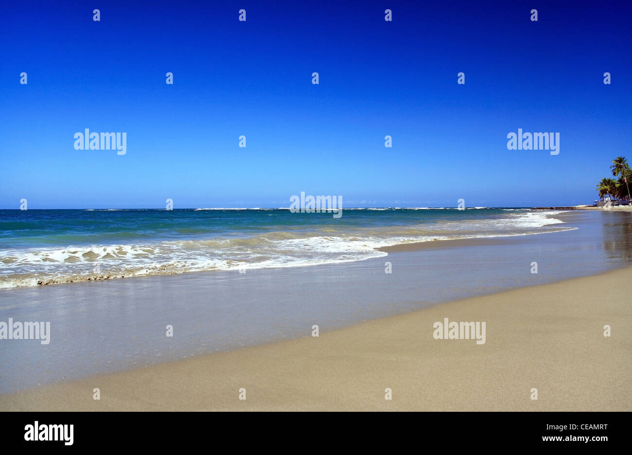 Tropical wild beach Stock Photo - Alamy
