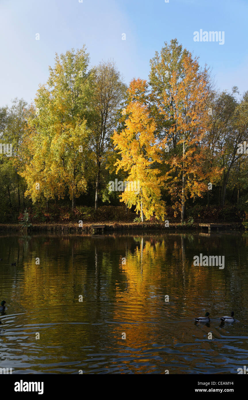 arrow valley lake country park redditch worcestershire Stock Photo - Alamy