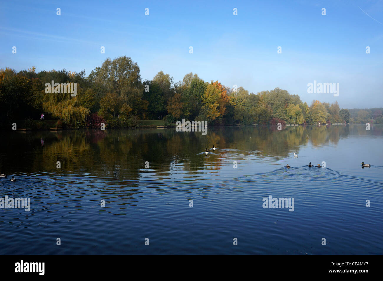 arrow valley lake country park redditch worcestershire Stock Photo - Alamy