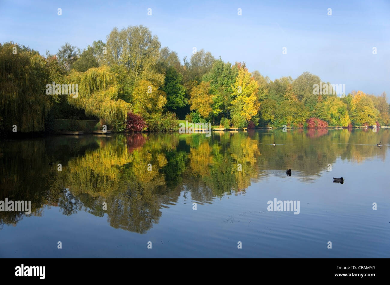 arrow valley lake country park redditch worcestershire Stock Photo - Alamy