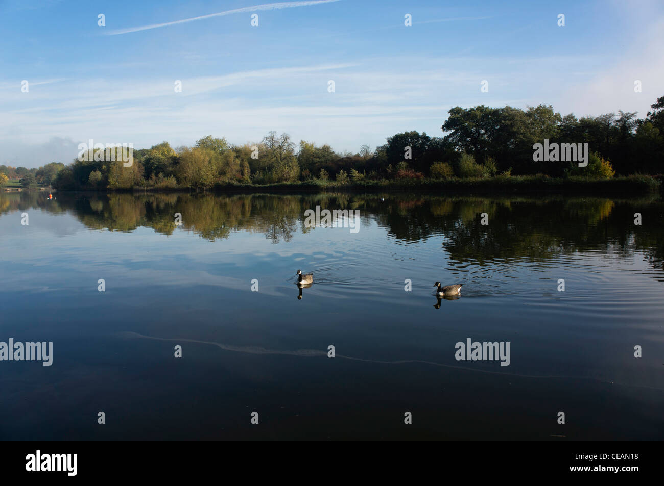 arrow valley lake country park redditch worcestershire Stock Photo - Alamy