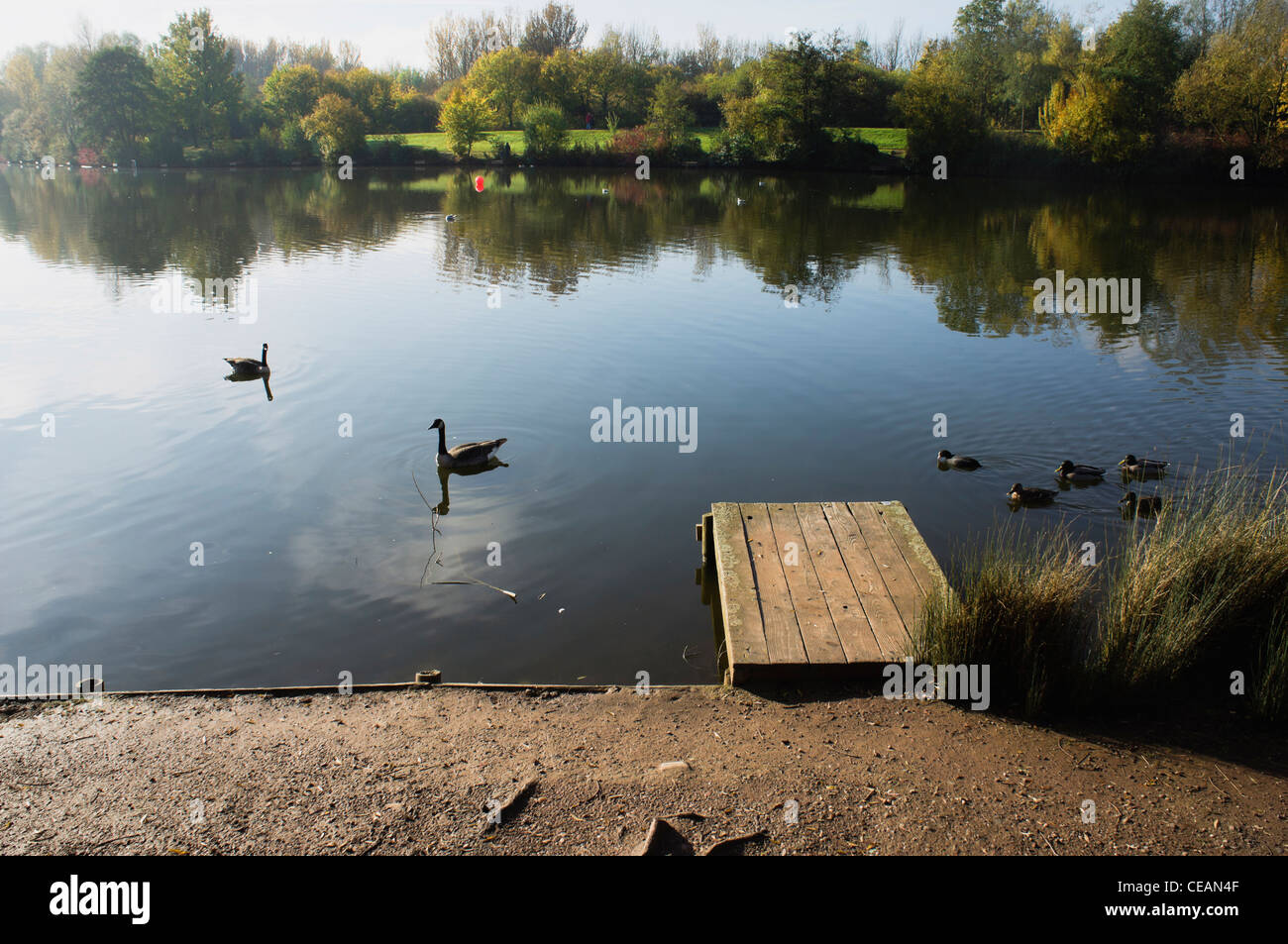 arrow valley lake country park redditch worcestershire Stock Photo - Alamy