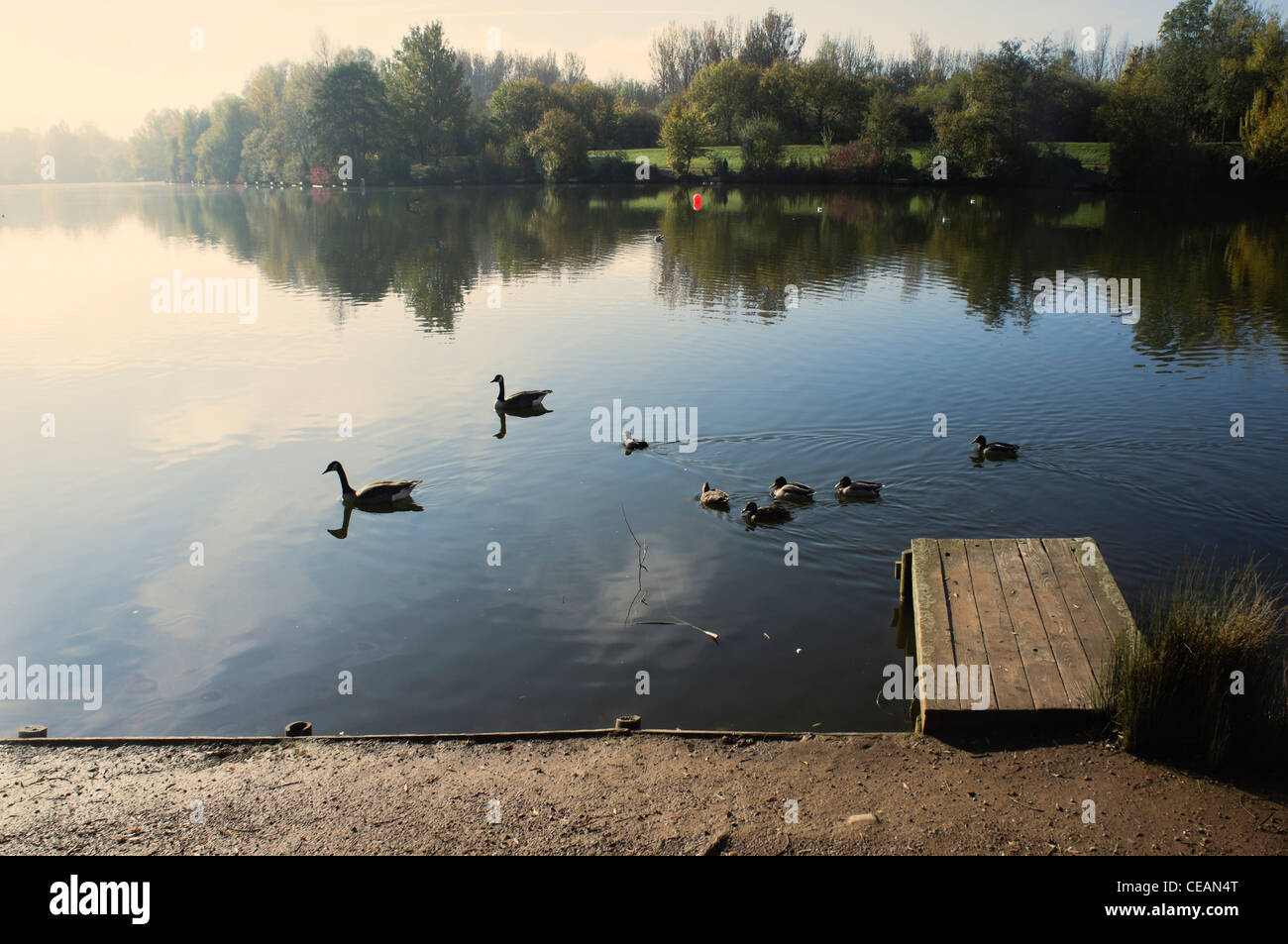 arrow valley lake country park redditch worcestershire Stock Photo - Alamy