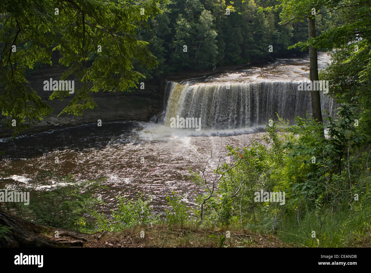Root beer falls hi-res stock photography and images - Alamy