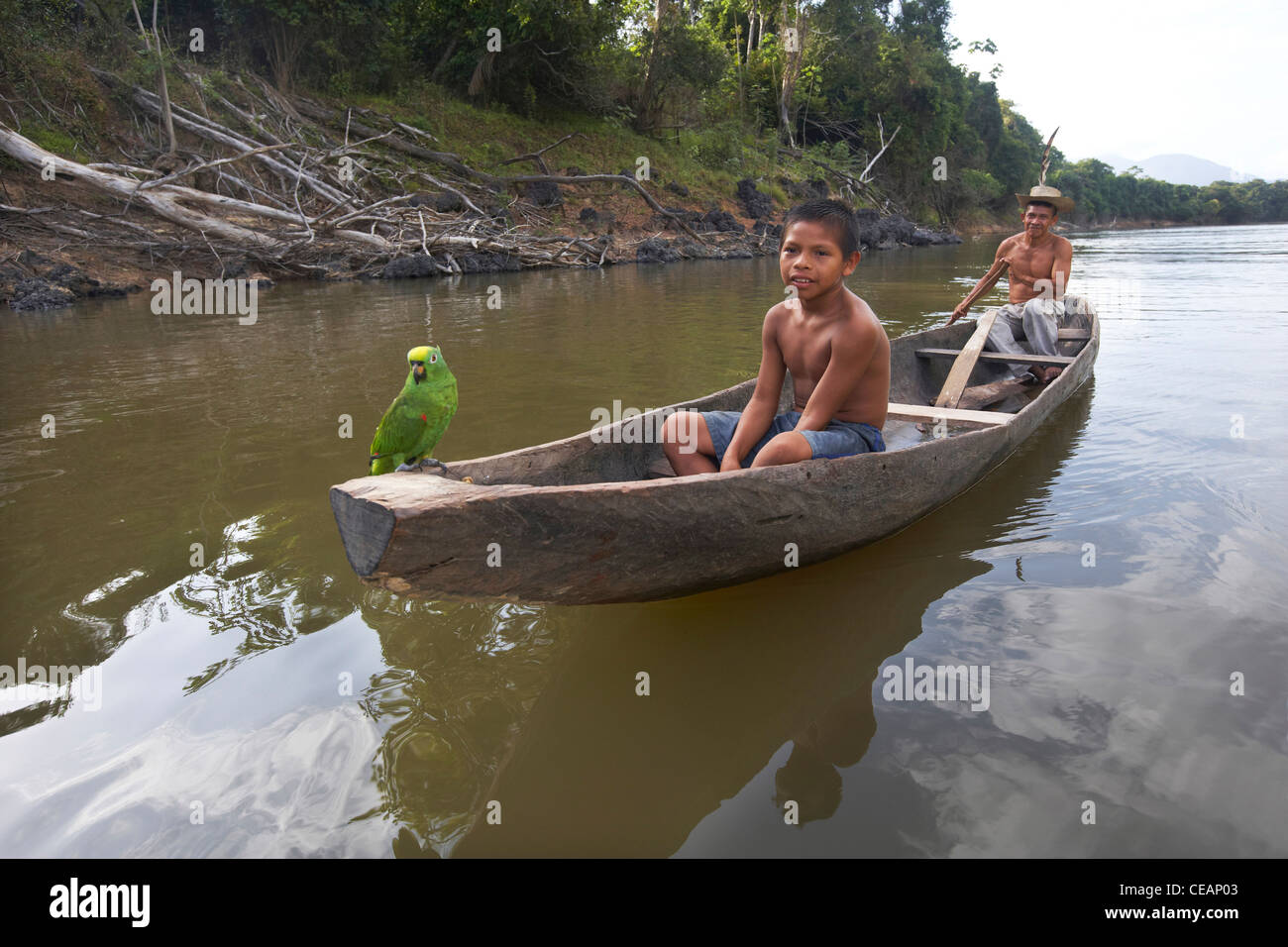 Amerindian Guyana High Resolution Stock Photography and Images - Alamy