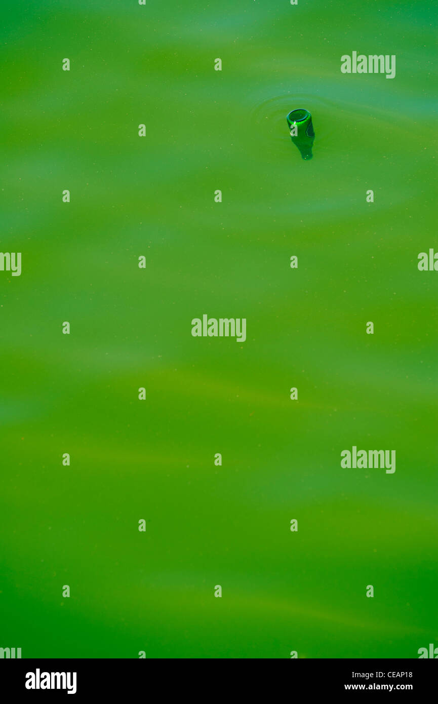 Bottle floating in water Stock Photo - Alamy