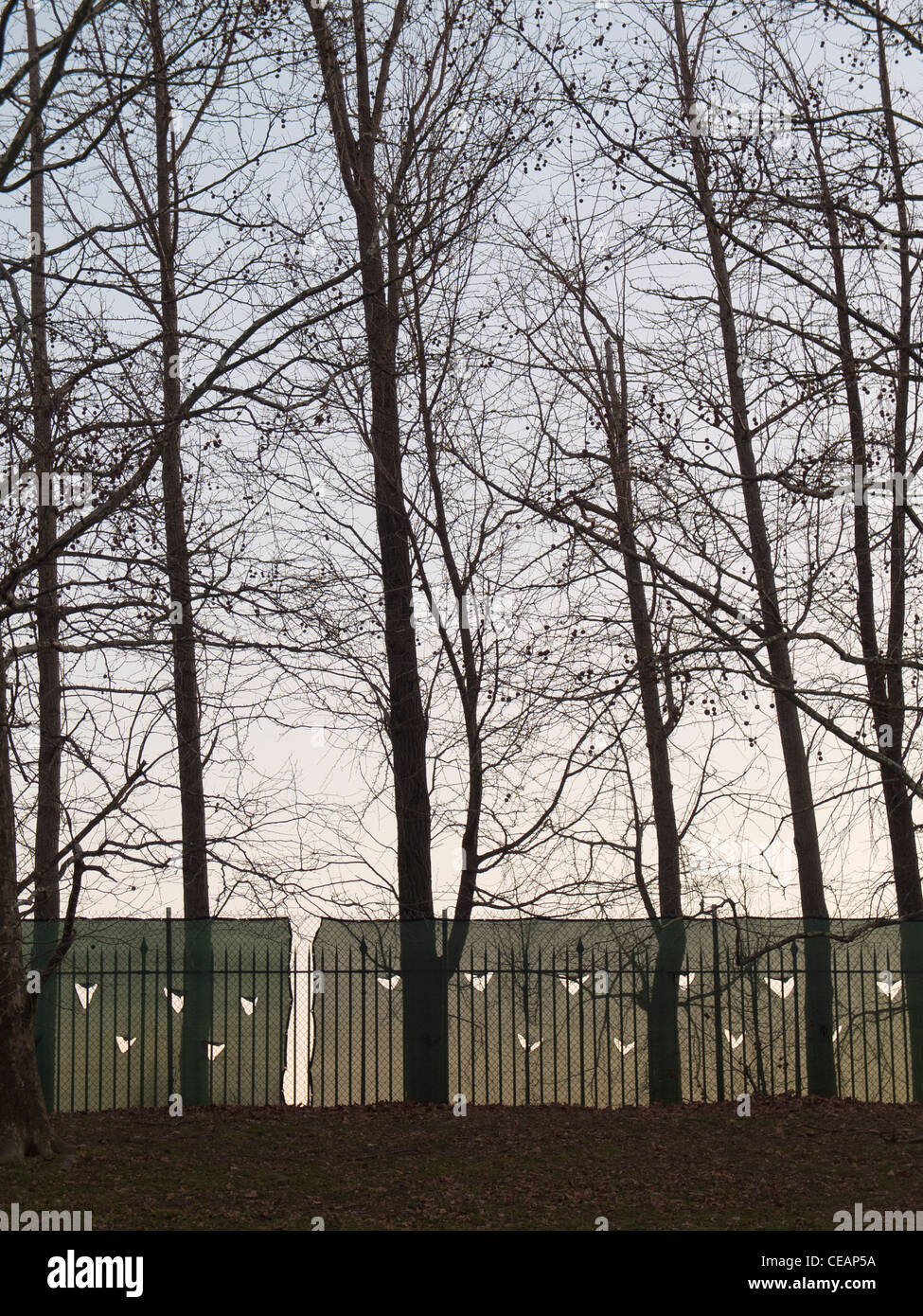 Crown heights brooklyn trees hi-res stock photography and images - Alamy