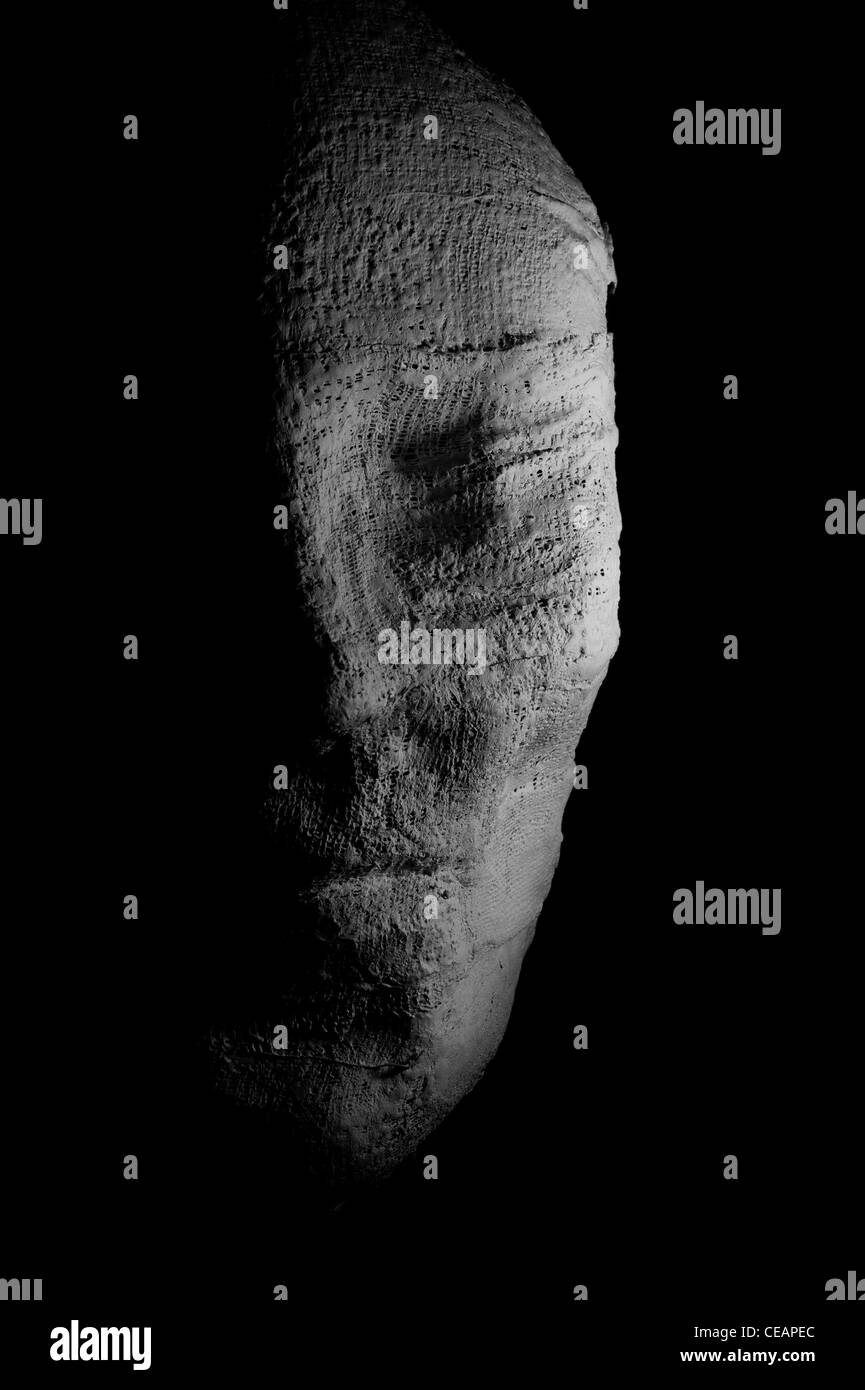 Mask no masks Black and White Stock Photos & Images - Alamy