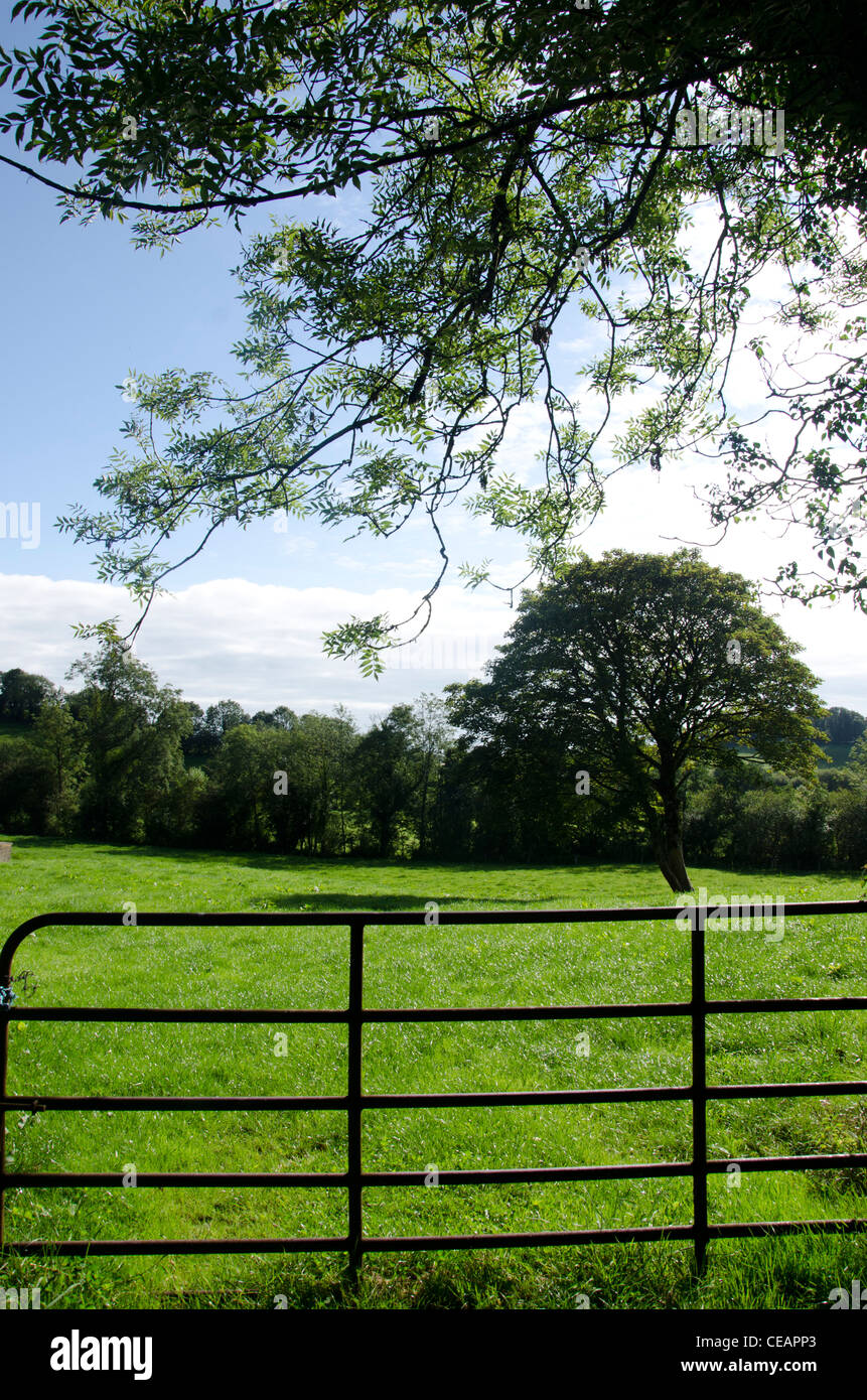 Gates in a field hi-res stock photography and images - Alamy
