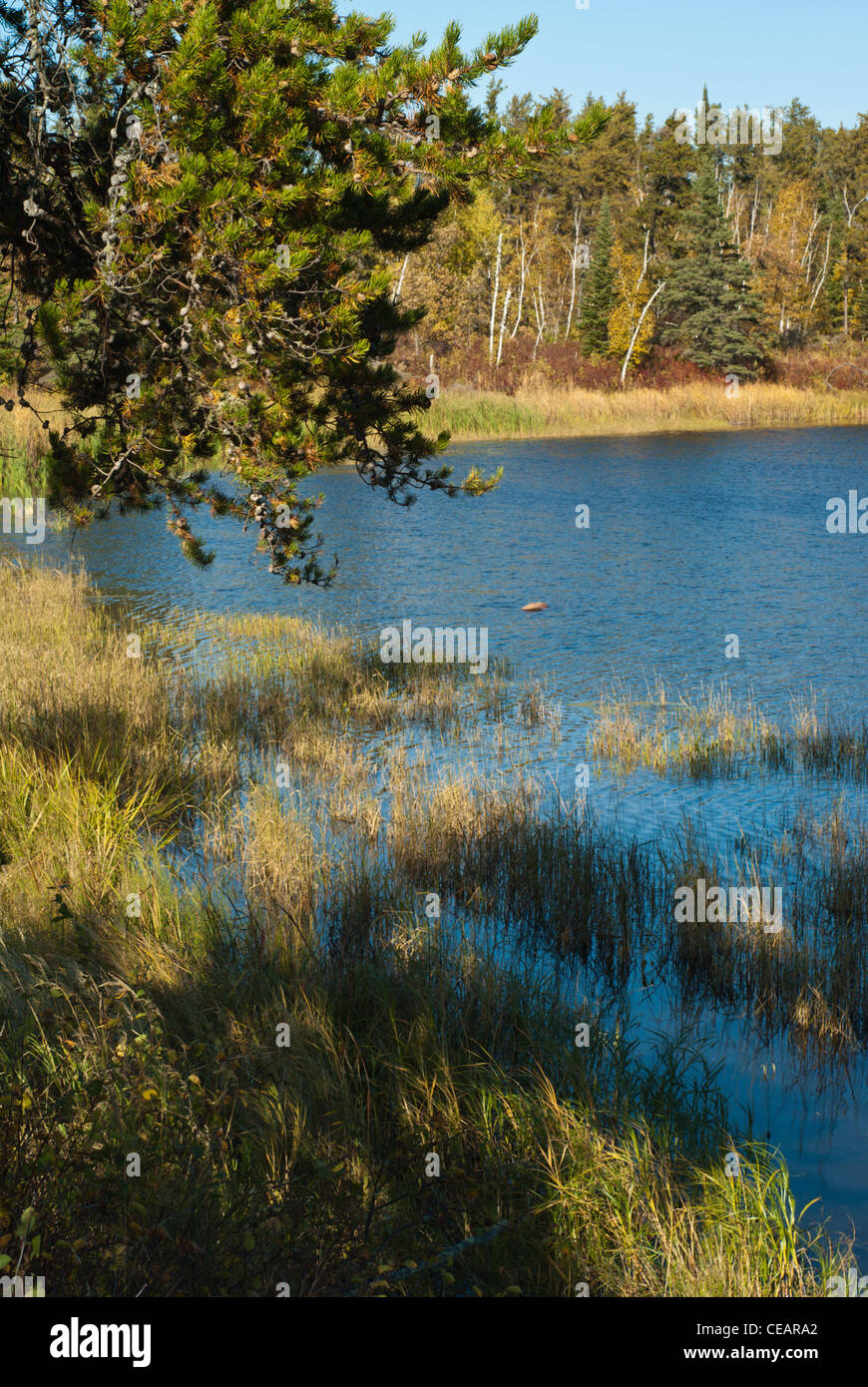 Whiteshell Provincial Park Hiking Stock Photos & Whiteshell Provincial ...