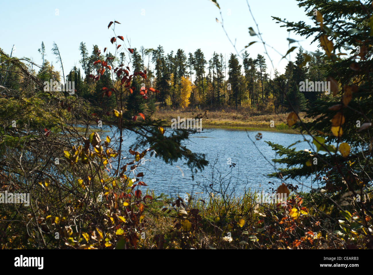 Whiteshell Manitoba Canada Stock Photo - Alamy