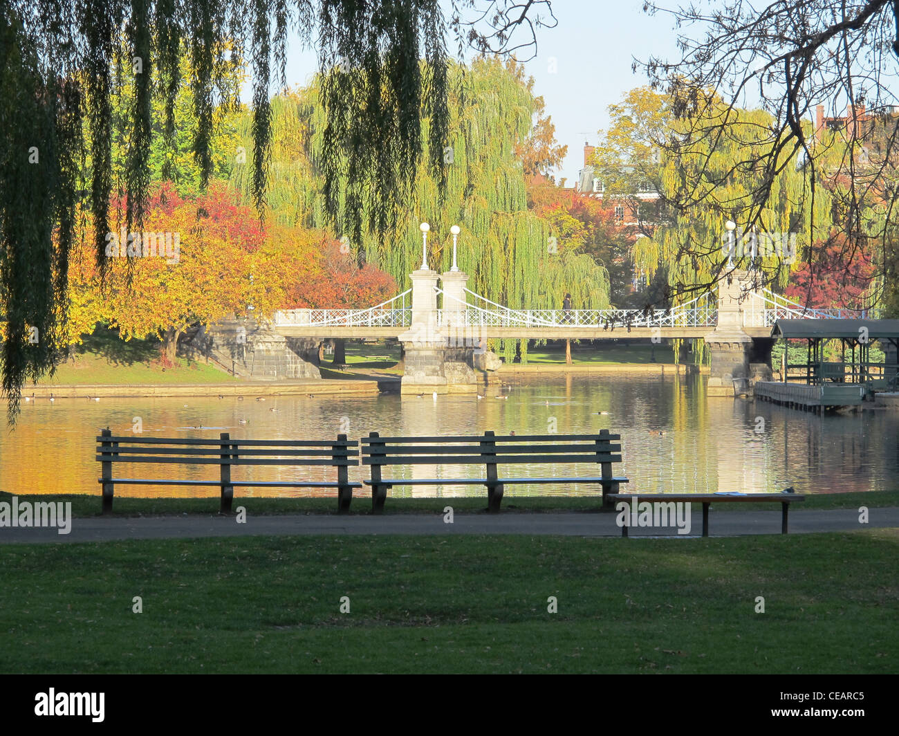 Fall morning scene from the Public Garden in Boston, Massachusetts ...
