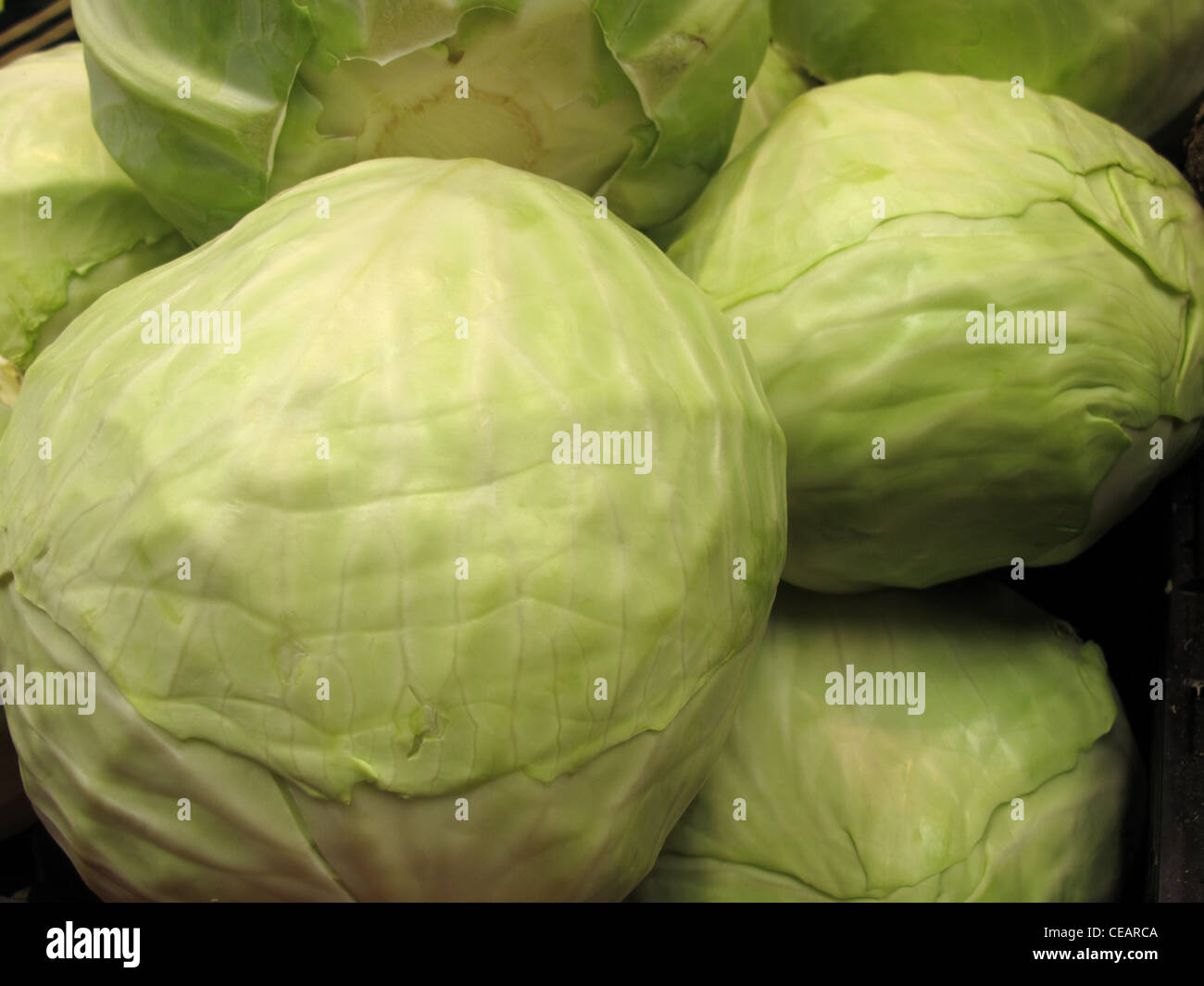 cabbage balls on sale Stock Photo - Alamy