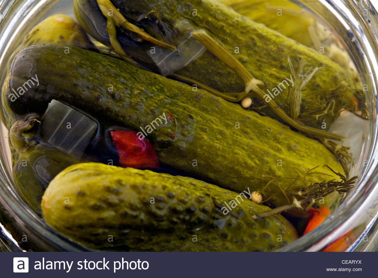 Gherkins Stock Photos & Gherkins Stock Images - Alamy