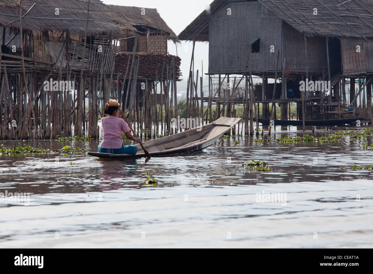 Tribal people on Inle lake are daily paddling their floating boats from ...