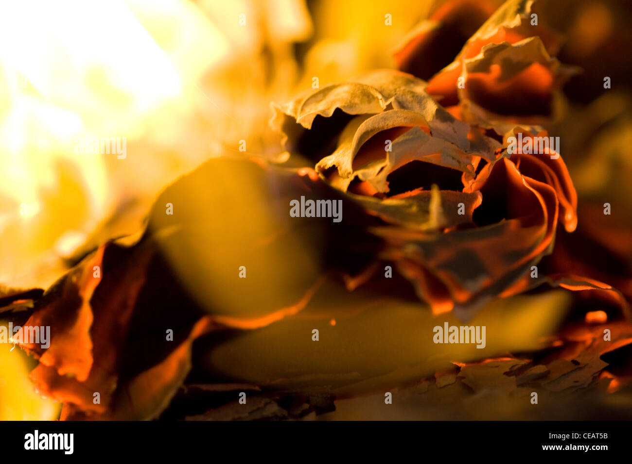 Burning embers paper hi-res stock photography and images - Alamy