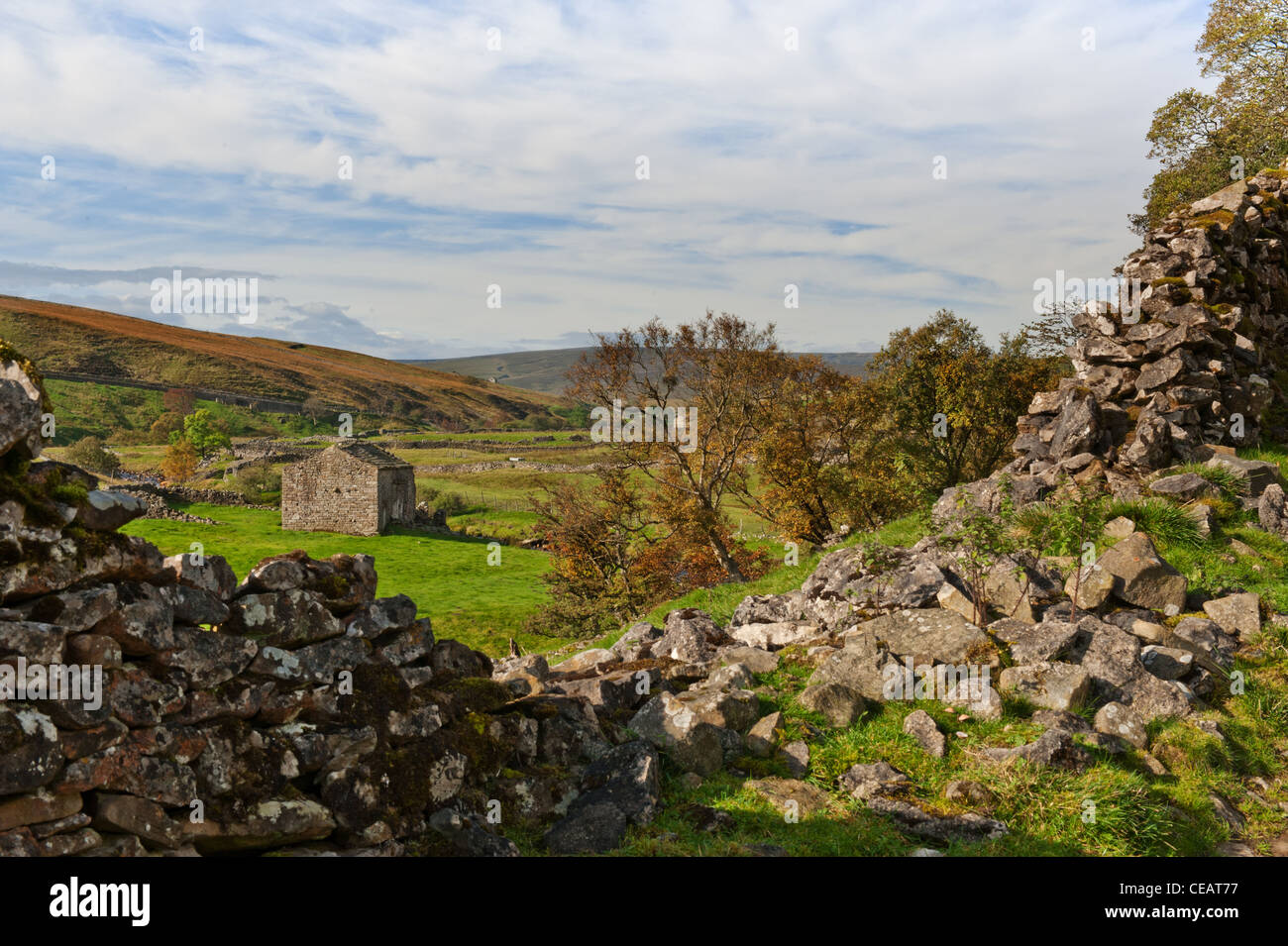 Autumn in upper Swaledale Stock Photo - Alamy