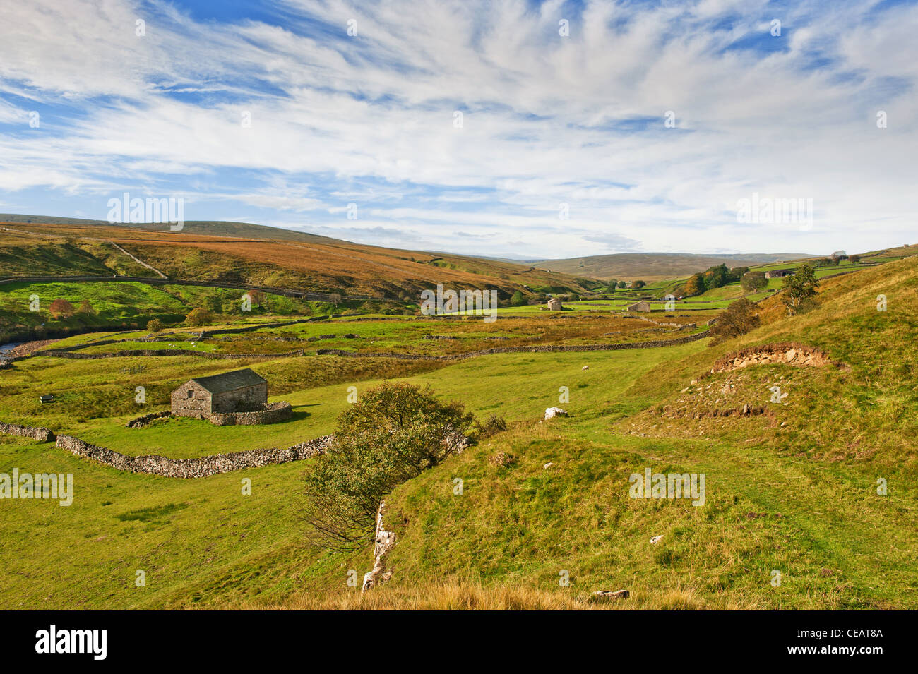 Autumn in upper Swaledale Stock Photo - Alamy