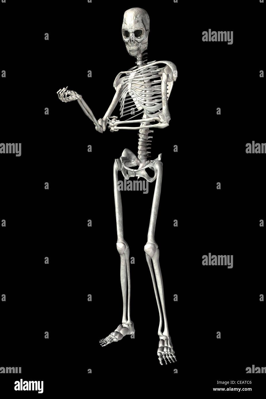 Illustration of a skeleton isolated on a black background Stock Photo ...