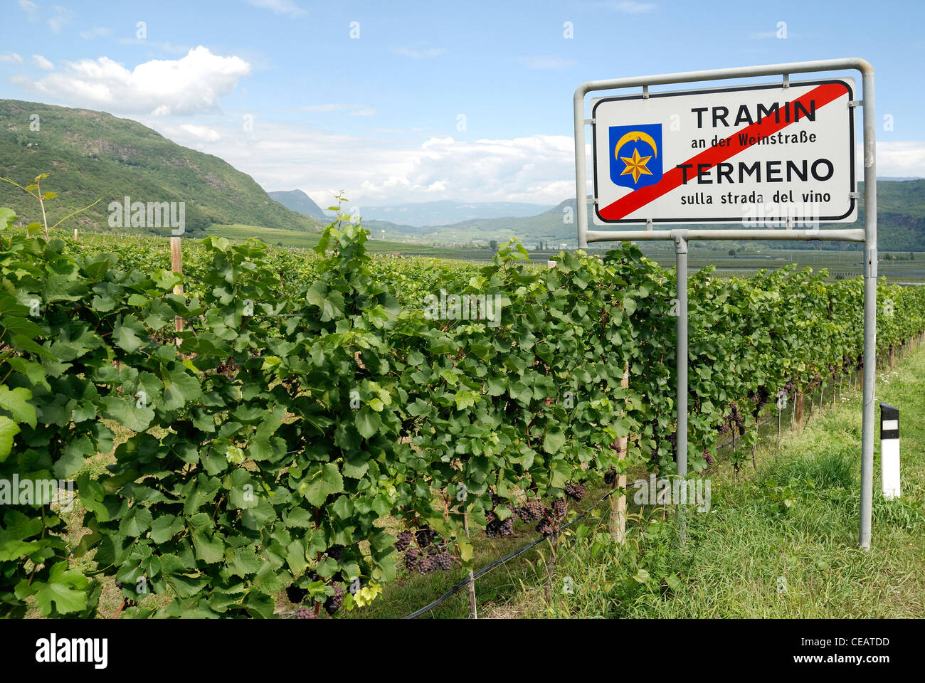South tyrolean wine sign hi-res stock photography and images - Alamy