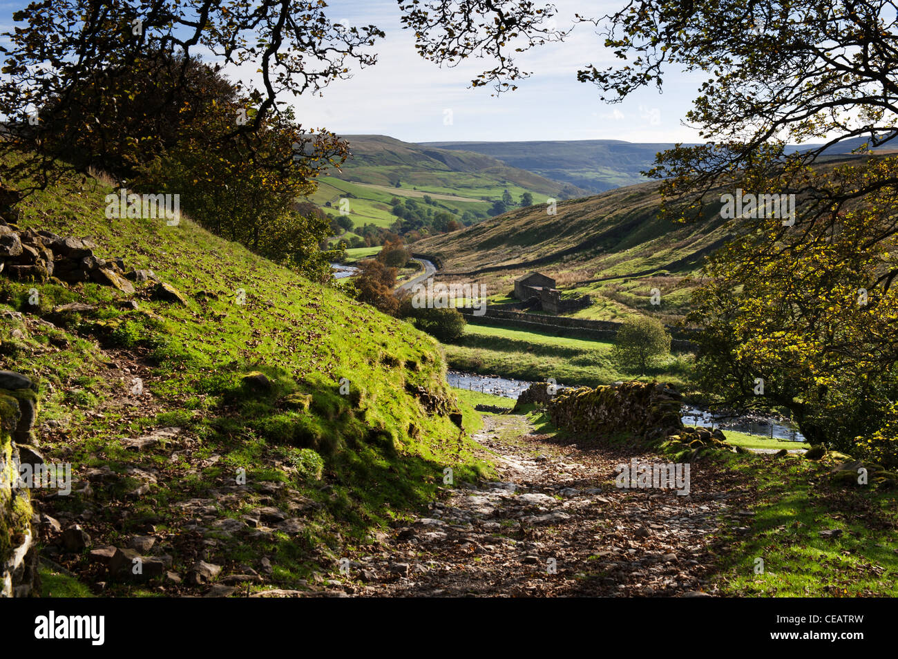 Autumn in upper Swaledale Stock Photo - Alamy