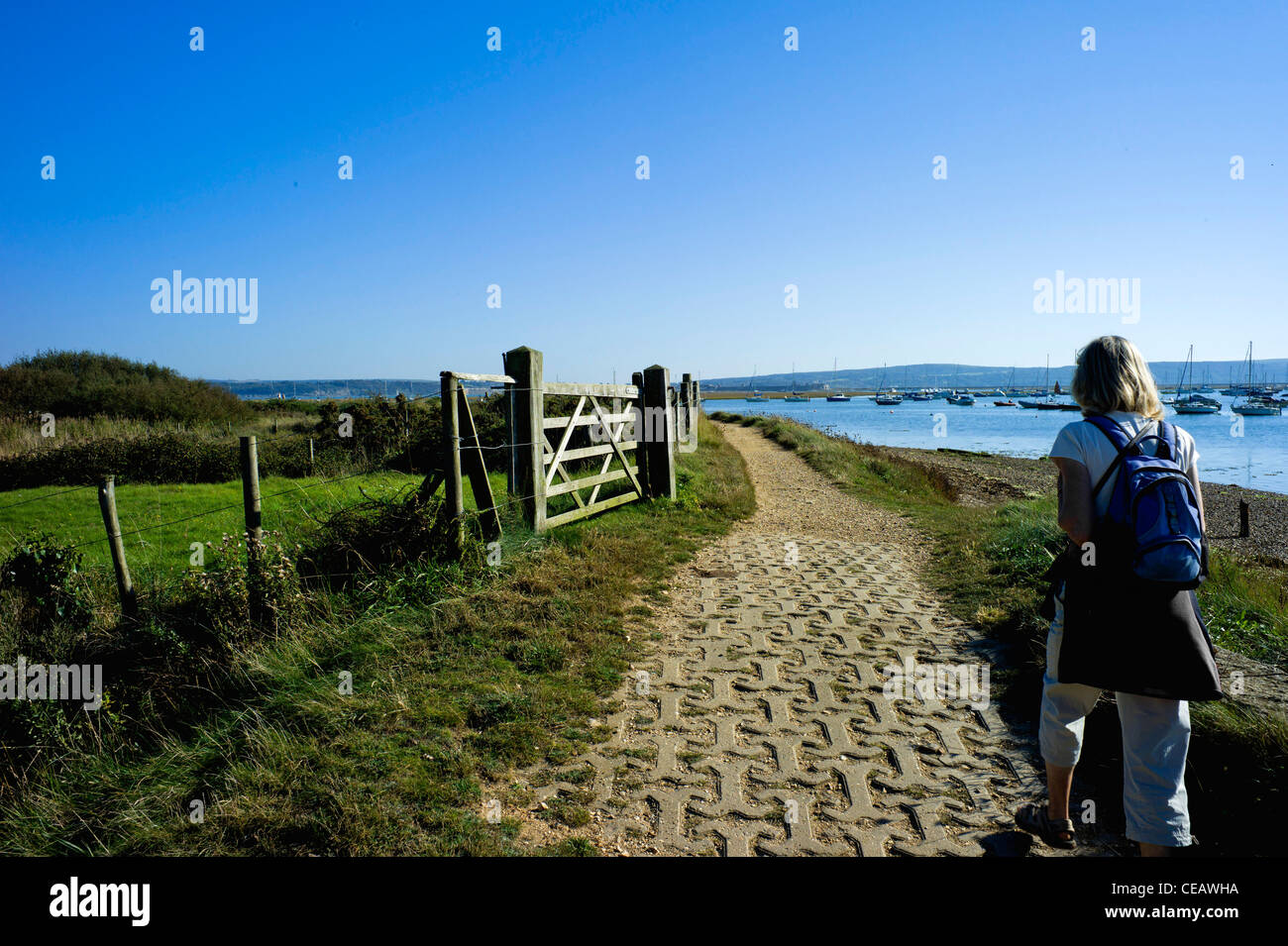 salt marsh, marshes, marshland, the hampshire coast ,sand spit ,hurst ...