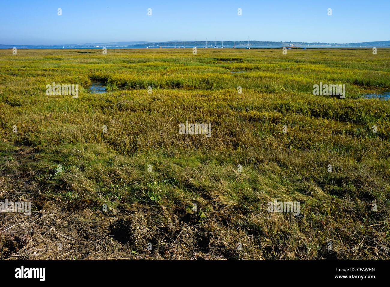 Hurst salt marsh hi-res stock photography and images - Alamy