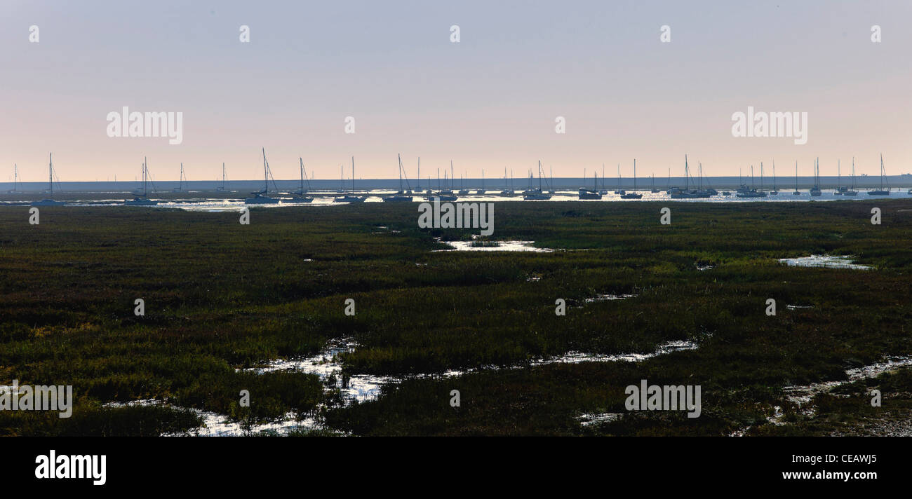 salt marsh, marshes, marshland, the hampshire coast ,sand spit ,hurst ...