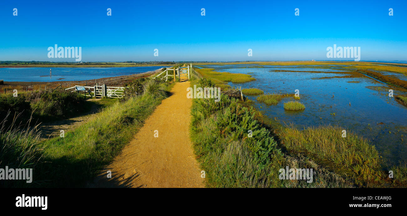 salt marsh, marshes, marshland, the hampshire coast ,sand spit ,hurst ...