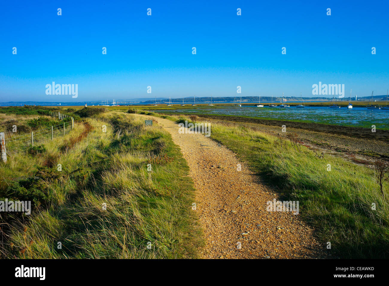 salt marsh, marshes, marshland, the hampshire coast ,sand spit ,hurst ...