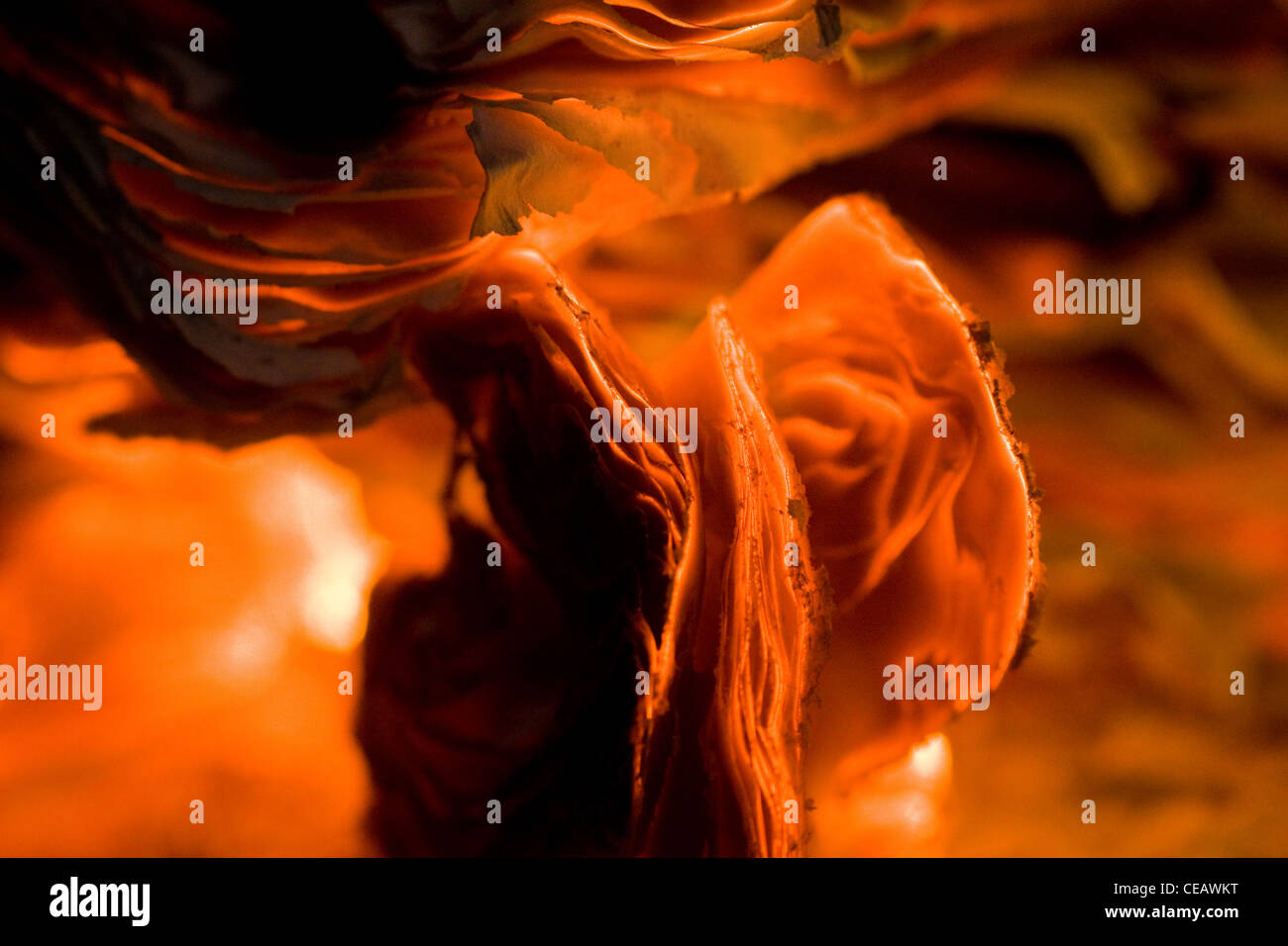 Burnt layers hi-res stock photography and images - Alamy